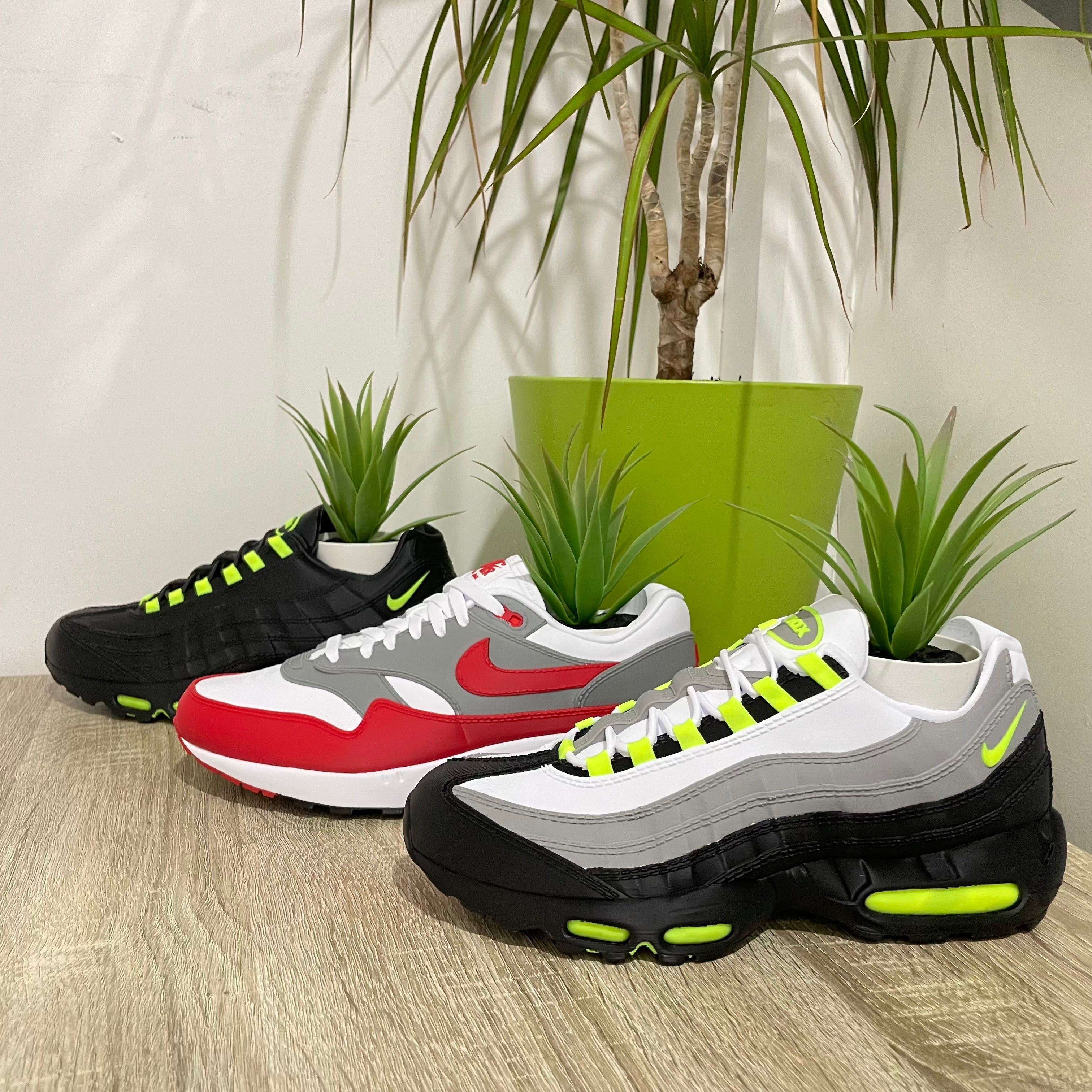 Full Colour Sneaker/Trainer Planter – What Boxx